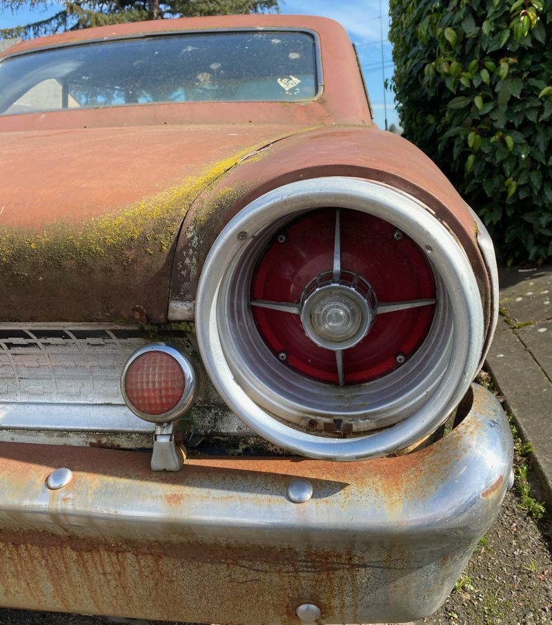 Book Report: David Pickering’s Jesus Comes to Me as Judy Garland ...